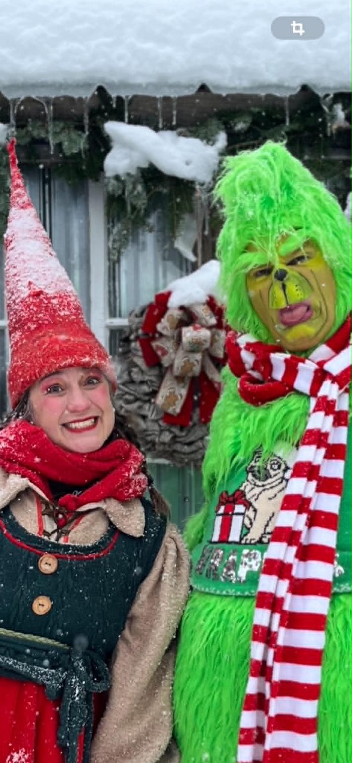 Spectacle le Grinch et la lutine - Productions Nœud Papillon
